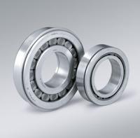 China Electric Scooter Cylindrical Roller Bearing for sale