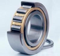 China Electric Scooter Cylindrical Roller Bearing for sale