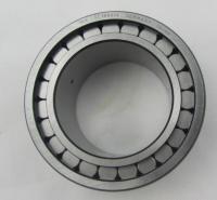 China INA Open Seal Cylinder Roller Bearings SL185014 Without Cage Inside for sale