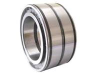 China Pillow Block Bearing Cylindrical Roller Bearing SL045004-PP 20x42x30mm for sale