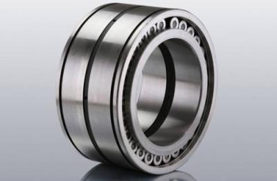 China Pillow Block Bearing Cylindrical Roller Bearing SL045004-PP 20x42x30mm for sale