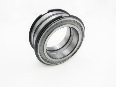 China Wind Generator Cylindrical Roller Bearing SL045005PP Double Row INA Bearings for sale