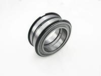 China SL045006PP NR Double Row INA Bearings Germany Origin Brass Cage for sale