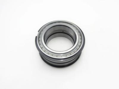 China SL045006PP NR Double Row INA Bearings Germany Origin Brass Cage for sale