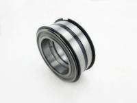 China Nylon Cylindrical Roller Bearing SL045009PP Dimention 45x75x39MM for sale