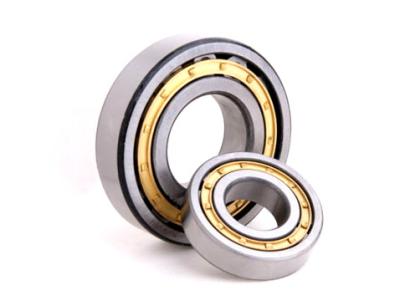 China NUP NFP Type Cylindrical Roller Bearing NJ  2320  EC3 With Brass Cage for sale