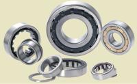 China NH NU NJ NUP NF N SL type Cylindrical Roller Bearing NUP307V with 35X80X21 for sale