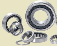 China NUP series Cylindrical Roller Bearing NUP 312 Bearing chrome steel 60X130X31 for sale