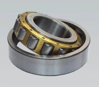 China OEM Cylindrical Roller Bearing 80 x 170 x 39mm N316E TVP2 Nylon Cage 6.7kg for sale