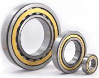 China NJ305EM / C3 Flange Inside Ring Single Row Cylindrical Roller Bearings Chrome Steel V3 for sale