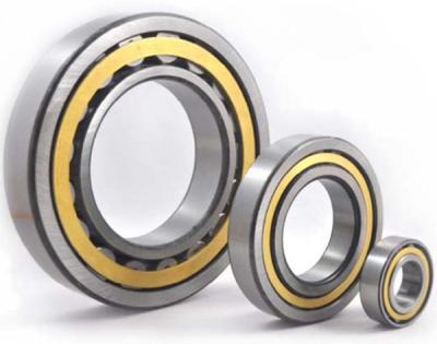China NJ305EM / C3 Flange Inside Ring Single Row Cylindrical Roller Bearings Chrome Steel V3 for sale