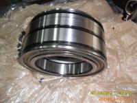 China Cylindrical high speed roller bearings SL04 5010 PP for mining area for sale