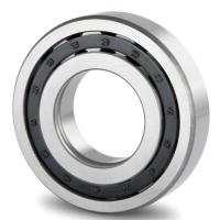 China Single Row Cylindrical Roller Bearing NUP2319 92619 95*200*67mm for sale