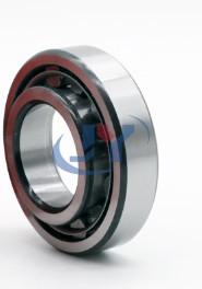 China Double Row Self Aligning Radial Ball Bearing NF203ETN1 Open Ball Bearing Normal Clearance for sale