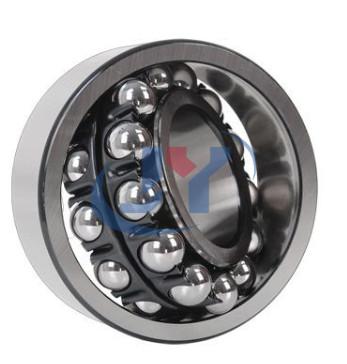China Double Row Self Aligning Radial Ball Bearing 2300/1600 Open Ball Bearing Normal Clearance for sale