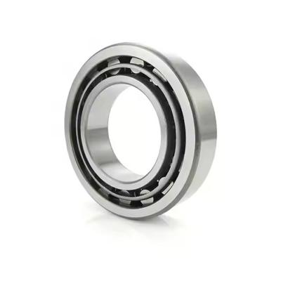 China NU226 Chrome Steel Size 130x230x40 mm Single Row Cylindrical Roller Bearing for sale