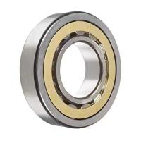 China NU321 Gearbox Coal Mill Cylindrical Roller Bearing for Gas Turbines for sale