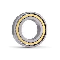 China Machine Parts N1060 Cylindrical Roller Bearing Steel Professional Bearing Manufacturer for sale