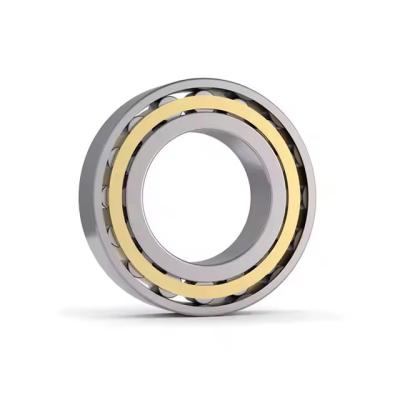 China Machine Parts N1060 Cylindrical Roller Bearing Steel Professional Bearing Manufacturer for sale