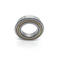 China NJ310ECM Cylindrical Roller Bearings (NJ310E.M1 NJ310EM NJ310M Available) for sale