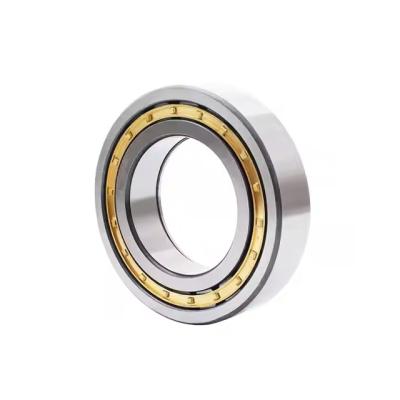 China Manufacturer Auto Bearings NJ2211E Cylindrical Roller Bearing for sale