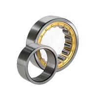 China NJ311ECM Cylindrical Roller Bearings (NJ311E.M1 NJ311EM NJ311M Available) for sale