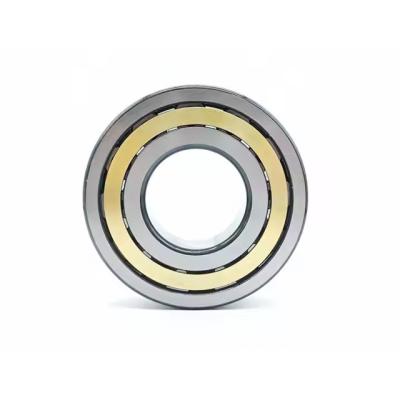 China Original Premium NJ313 ECM/C3  NJ 313 ECP NJ 313 ECM Cylindrical Roller Bearing NJ313 for sale