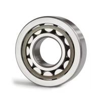 China High Performance 240*440*72mm NH248 Chrome Steel Cylindrical Roller Bearing for sale