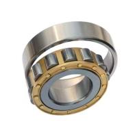 China Single Row Cylindrical Roller Bearings NJ2311E for Machinery Farm Industries Brass Oil for sale