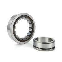China China Bearing Factory's Single Row Cylindrical Roller Bearing NJ1017 80*130*22mm for Machinery for sale