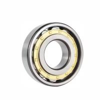 China Manufacturer Auto Bearings Cylindrical Roller Bearing NJ216E for sale