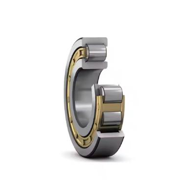 China Roulement 100*150*24mm Bearing Single Row Cylindrical Roller Bearing NJ1020 for sale
