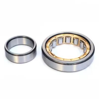 China Low Price Cylindrical Roller Bearing NJ320 NJ320ECJ 100x215x47mm NJ 320 for sale