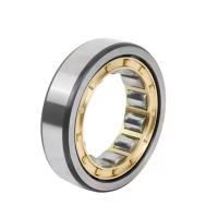 China High Speed Cylindrical Roller Bearings NJ2224 China Manufacturer for sale
