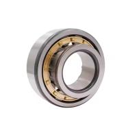 China Full Complement Cylindrical Roller Bearing NJ421 Single Row Bearing for sale