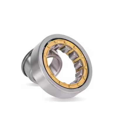 China NJ224 Cylindrical Roller Bearing NJ224ECJ NJ 224 ECJ HJ224 EC NJ224E for sale