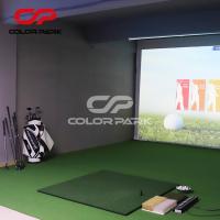 China Customise Plug Type CE Certificate Colorful Park VR Games Machine Exercise Sport Game 2D Screen Golf Simulator for sale