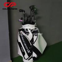 China Customise Plug Type CE Certificate Colorful Park VR Games Machine Exercise Sport Game 2D Screen Golf Simulator for sale