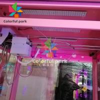 China Arcade Crane Machine for Amusement Game Center CE Certificate Doll Machine for sale