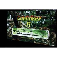 China CE Certified Coin Operated Shooting Zombies Arcade Game 2600mm Wide for Amusement Parks for sale