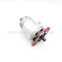 China 60275076 Power Steering Oil Pump QC40/15-HR-SY fit SANY Crane for sale