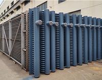 China Industrial Boiler Components Spare Parts Replacement For Power Plant Boiler Utility Boiler for sale