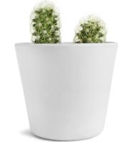 China Custom Color Rotational Garden Planter Molds PE Planters 3.5-6 Meter Diameter LLDPE Material for sale