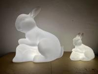 China Custom Size Rotational Molding LED Rabbit Lantern LLDPE Waterproof Outdoor Light for sale