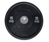 China Custom Plastic Barbell Weight Board Rotomolded Polyethylene 30 Days Delivery for sale