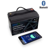 China MaxLi LiFePO4 Battery 12V 100Ah Smart Lithium Battery For RV/Caravan/Campering Built-In Bluetooth for sale