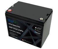 China MaxLi 12V 100Ah lithium battery smart LiFePO4 Battery for RV/Marine/Automative vehicles with built-in bluetooth for sale