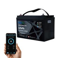 China Removable Case DIY Lifepo4 Battery 12V 100Ah Bluetooth APP Communication for sale