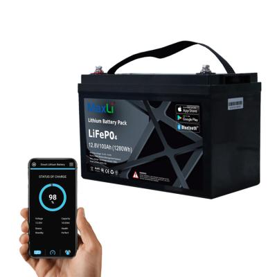 China Removable Case DIY Lifepo4 Battery 12V 100Ah Bluetooth APP Communication for sale