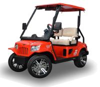 China Golf Battery Lifepo4 48V Lithium Battery 70Ah 100Ah for Golf Carts Golf Buggy for sale